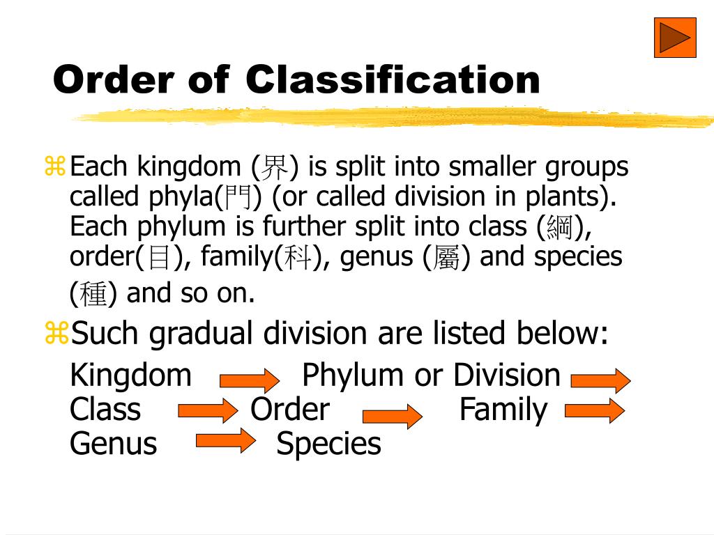 PPT - Order of Classification PowerPoint Presentation, free download ...
