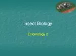 PPT - Insect Mouthparts PowerPoint Presentation, free download - ID:1193477