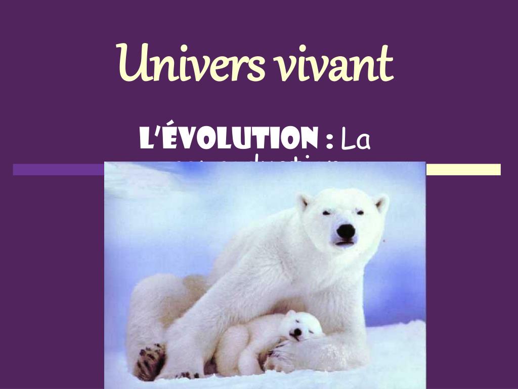 PPT - Univers vivant PowerPoint Presentation, free download - ID:1463715
