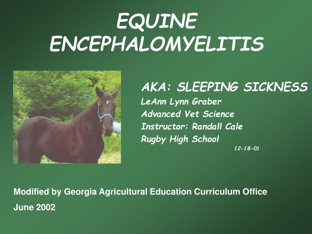 PPT - EQUINE ENCEPHALOMYELITIS PowerPoint Presentation, free download ...