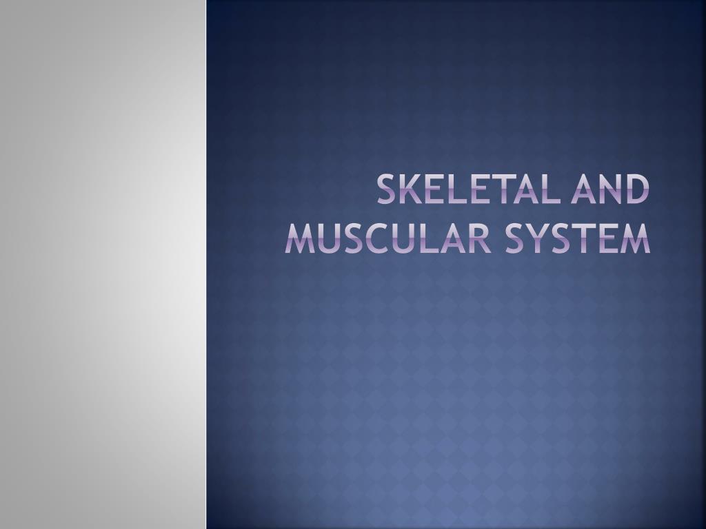 PPT - Skeletal and Muscular System PowerPoint Presentation, free ...