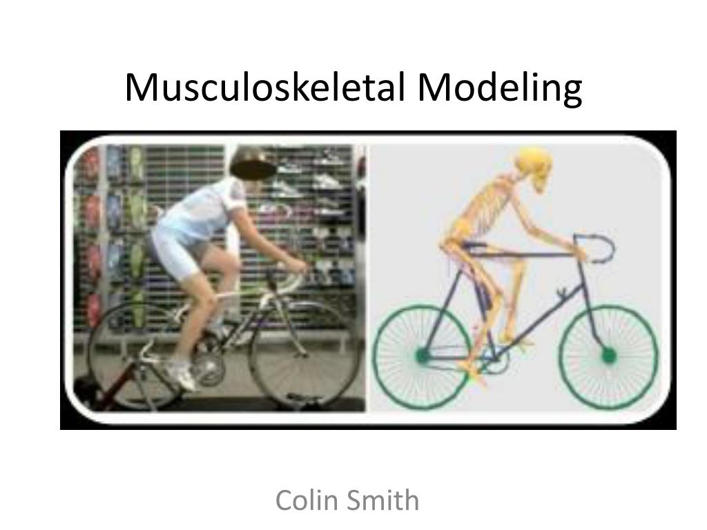 PPT - Musculoskeletal Modeling PowerPoint Presentation, free download ...