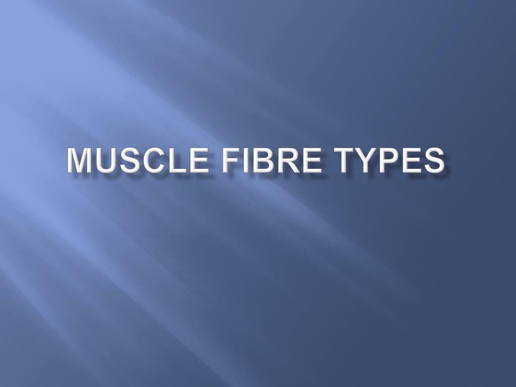 PPT - Muscle Fibre types PowerPoint Presentation, free download - ID ...