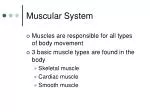 PPT - Unit 3: The Muscular System Lab 3: Muscle Physiology PowerPoint ...