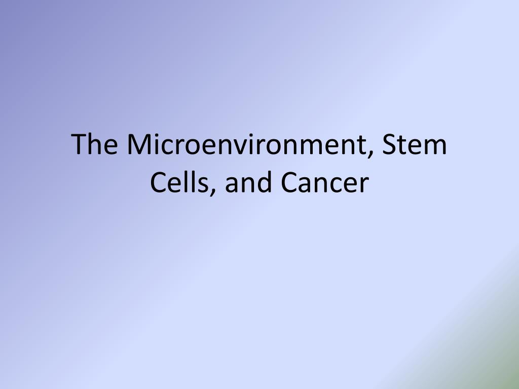 PPT - The Microenvironment, Stem Cells, and Cancer PowerPoint ...