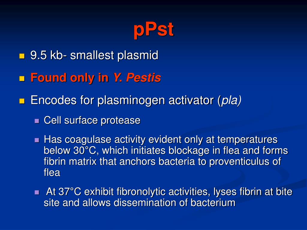 PPT - pPst PowerPoint Presentation, free download - ID:1466387