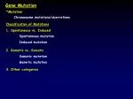 PPT - Recombination, Mutation, Genetic Drift, Gene Flow PowerPoint ...
