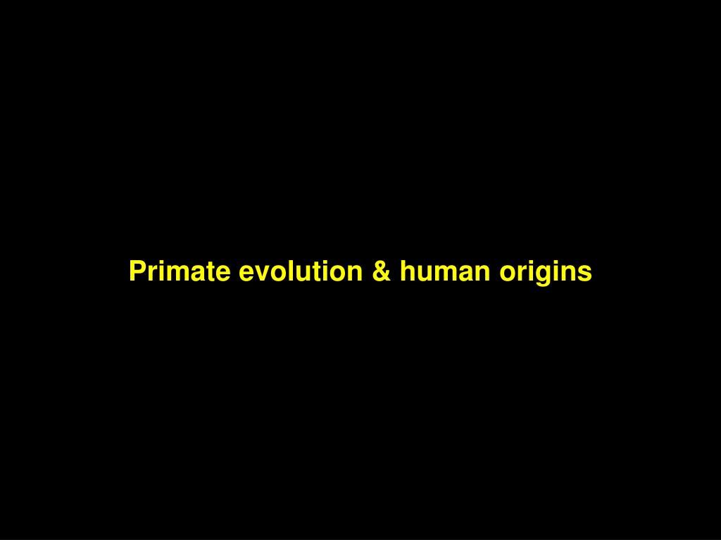 PPT - Primate evolution & human origins PowerPoint Presentation, free ...