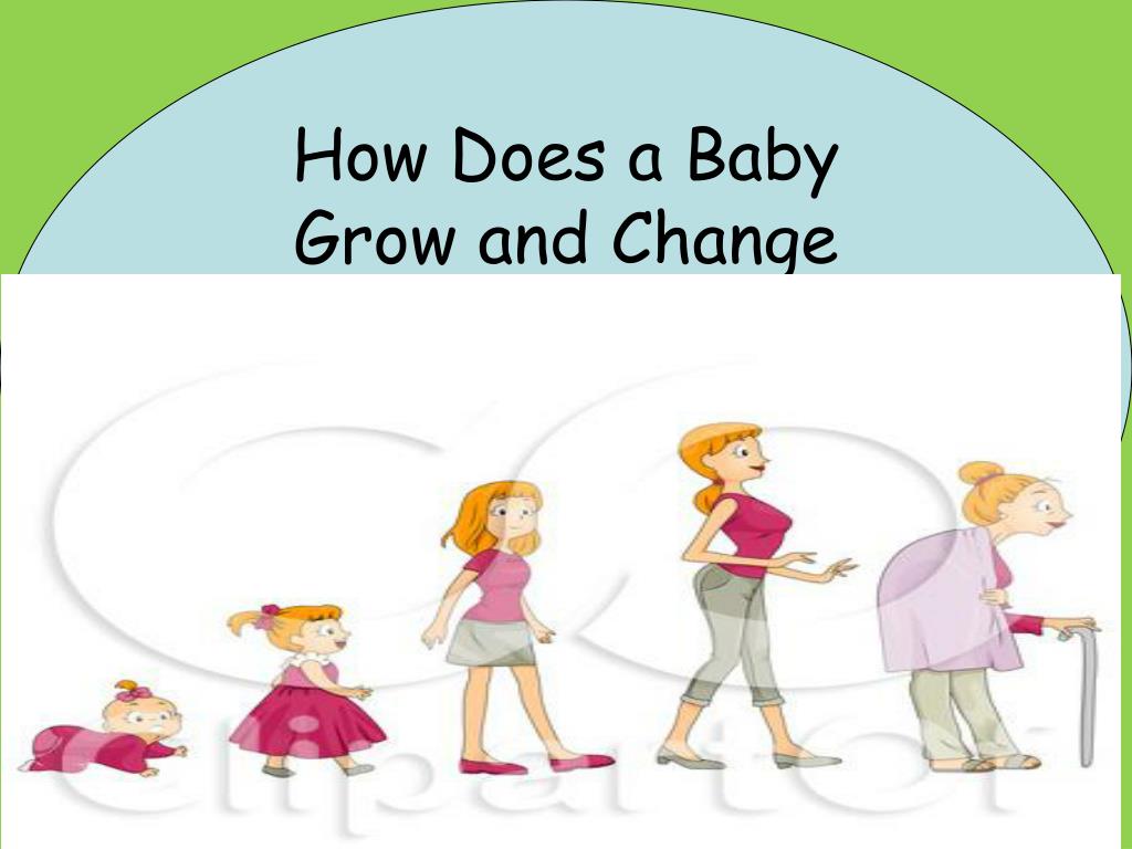 PPT - How Does a Baby Grow and Change PowerPoint Presentation, free ...