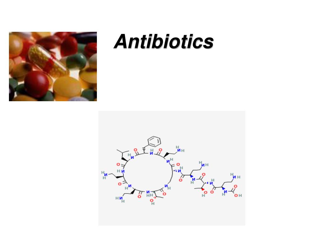 PPT - Antibiotics PowerPoint Presentation, free download - ID:1467267