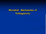 PPT - Chapter 15: Microbial Mechanisms of Pathogenicity PowerPoint Presentation - ID:3738670