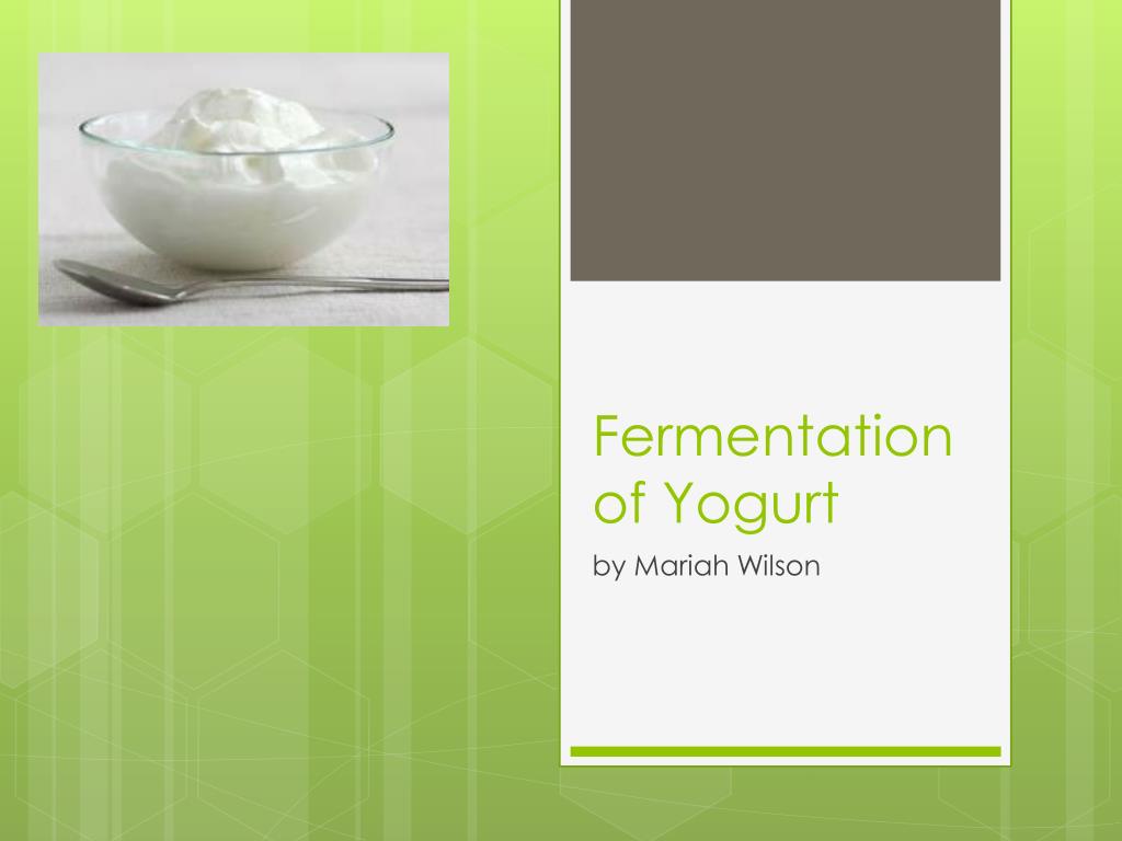 PPT - Fermentation of Yogurt PowerPoint Presentation, free download ...