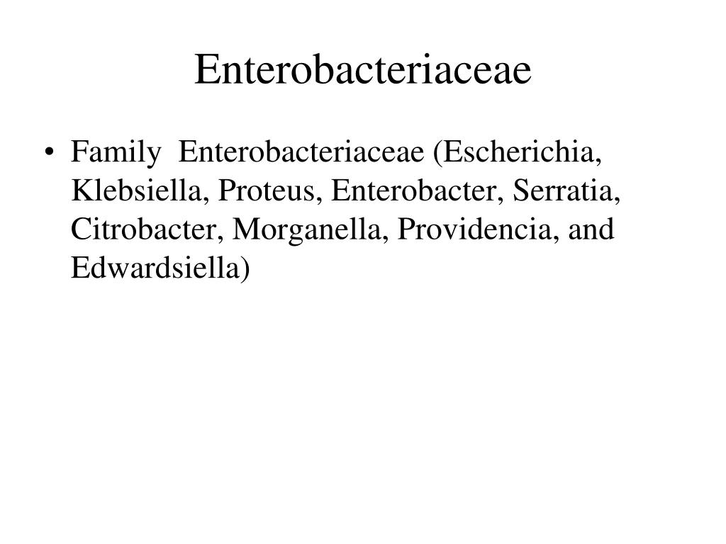 PPT - Enterobacteriaceae PowerPoint Presentation, free download - ID:147030