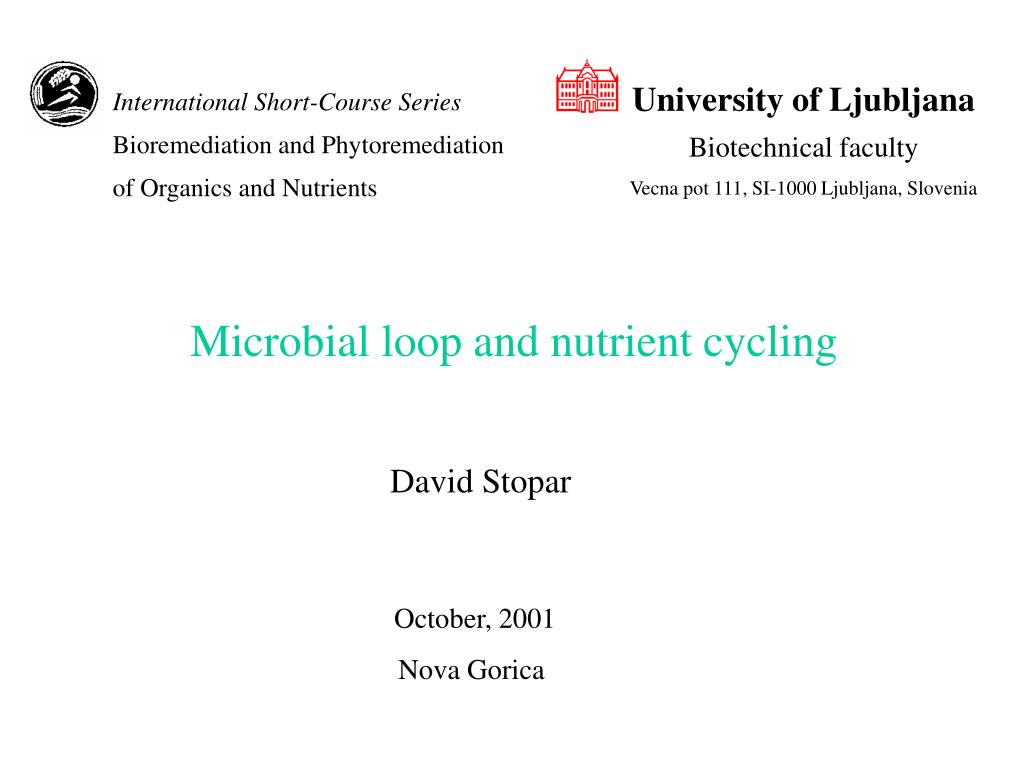 PPT - Microbial loop and nutrient cycling PowerPoint Presentation, free ...