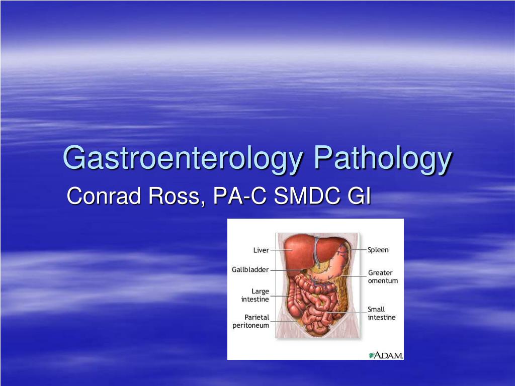 PPT - Gastroenterology Pathology PowerPoint Presentation, free download ...