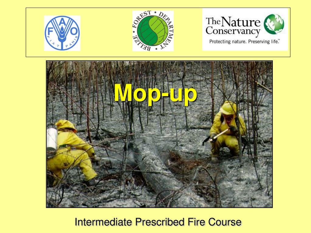 PPT - Mop-up PowerPoint Presentation, free download - ID:1472705