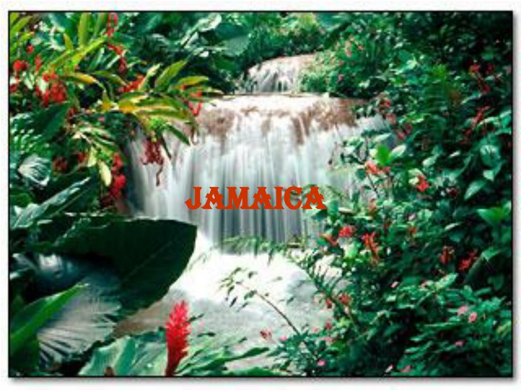 PPT - Jamaica PowerPoint Presentation, free download - ID:1473542