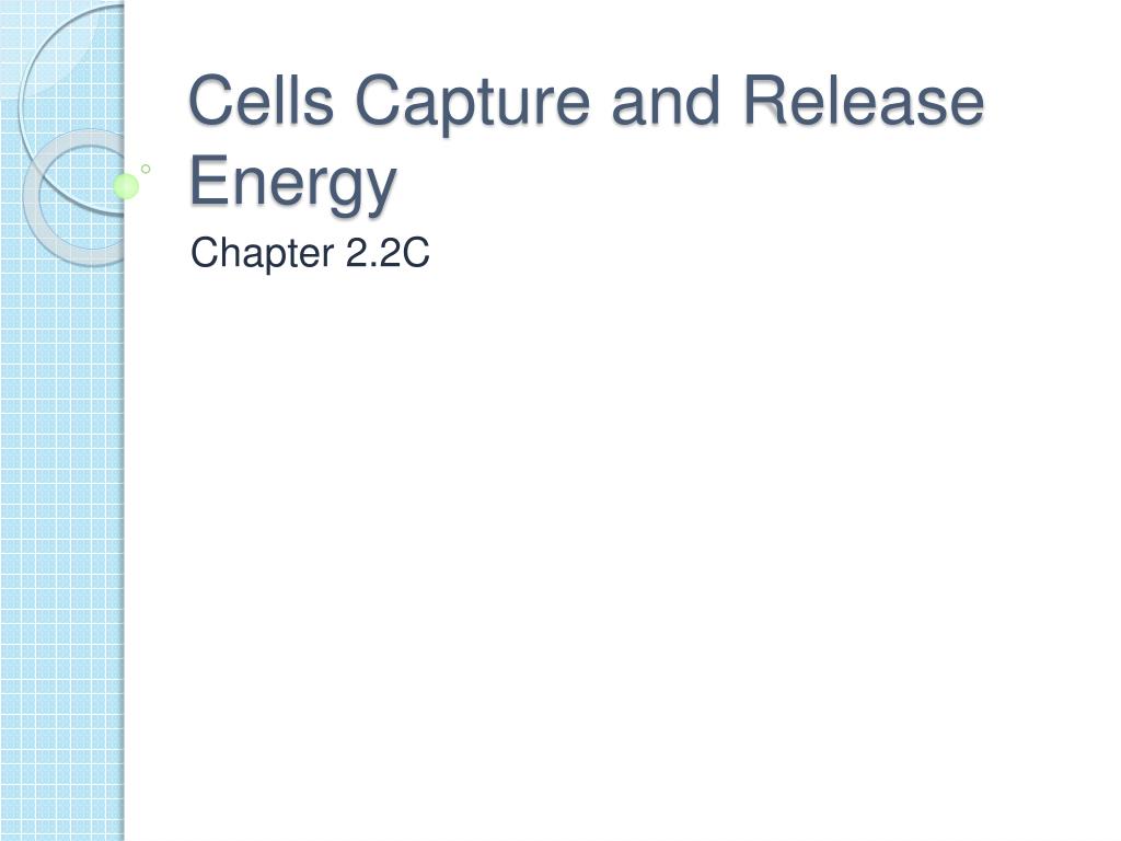 PPT - Cells Capture and Release Energy PowerPoint Presentation, free ...