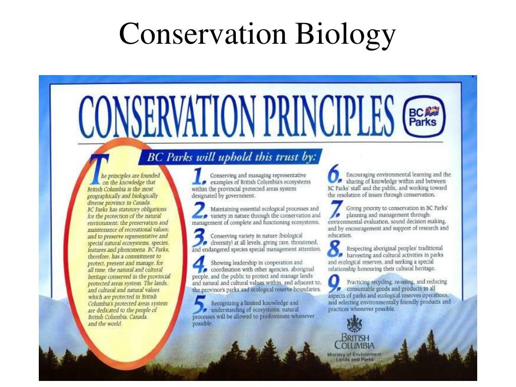 PPT - Conservation Biology PowerPoint Presentation, free download - ID ...