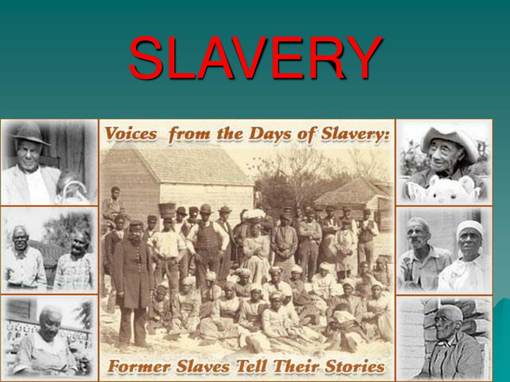 PPT - SLAVERY PowerPoint Presentation, free download - ID:148614