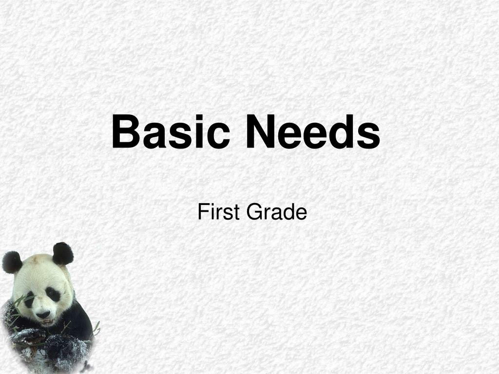 PPT - Basic Needs PowerPoint Presentation, free download - ID:1486538