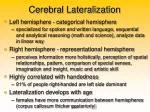 PPT - Cerebral Lateralization PowerPoint Presentation, free download ...