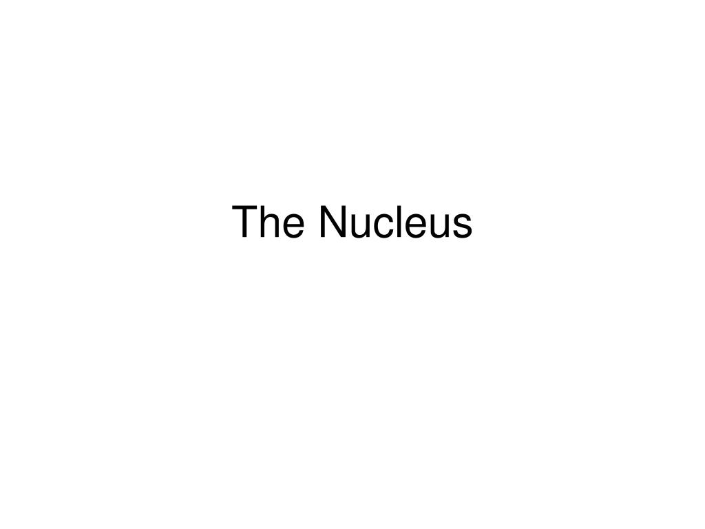 PPT - The Nucleus PowerPoint Presentation, free download - ID:1487280