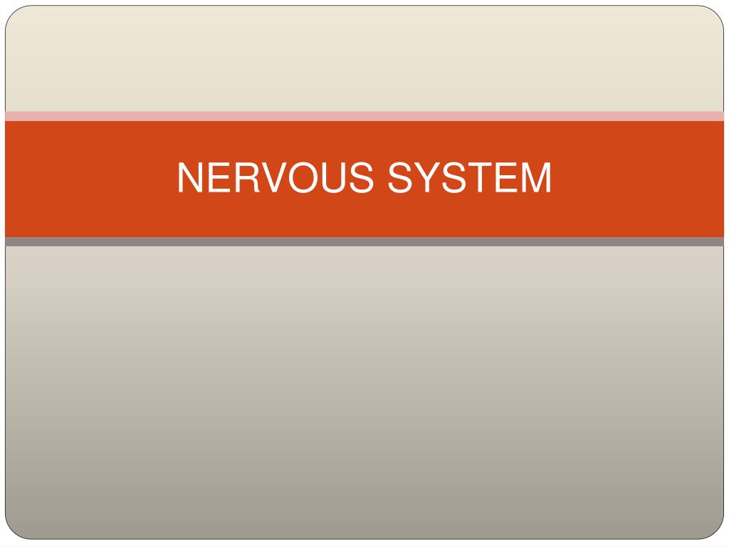 PPT - NERVOUS SYSTEM PowerPoint Presentation, free download - ID:1487697