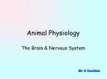 PPT - Introduction to Animal Physiology PowerPoint Presentation, free ...