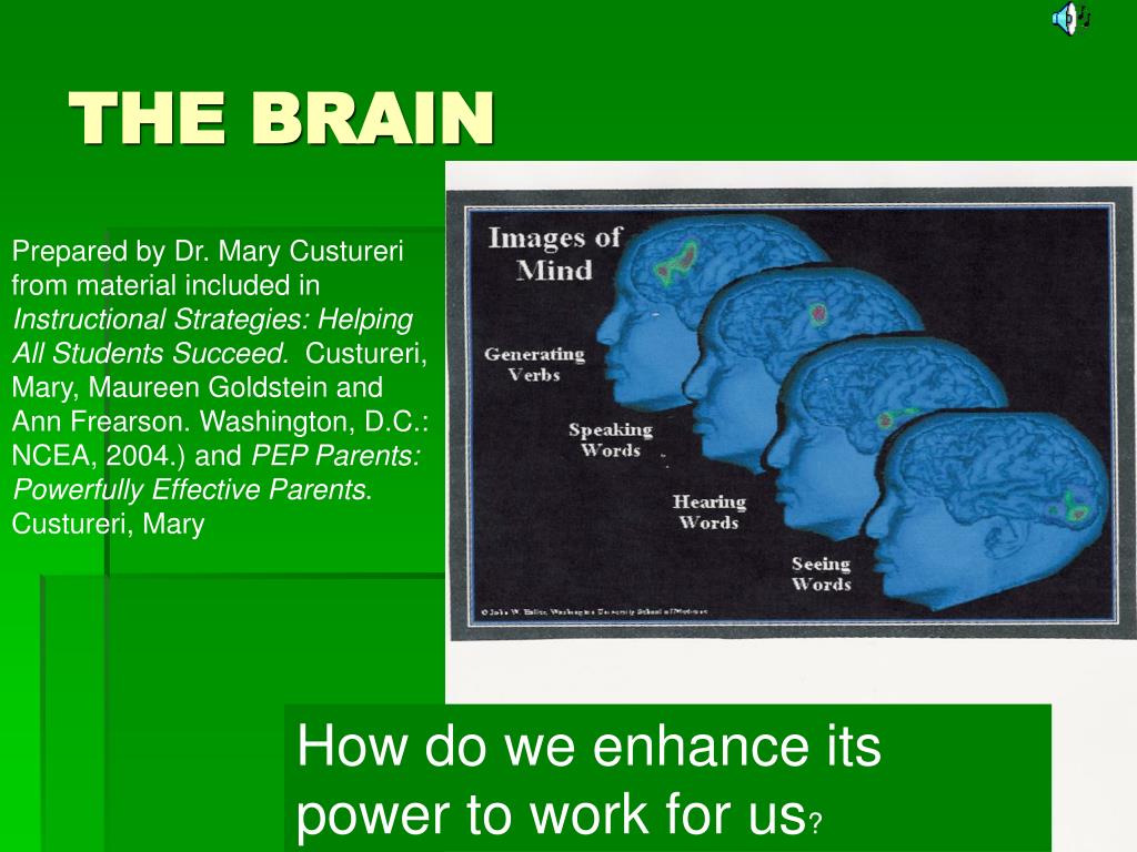 PPT - THE BRAIN PowerPoint Presentation, free download - ID:1487922