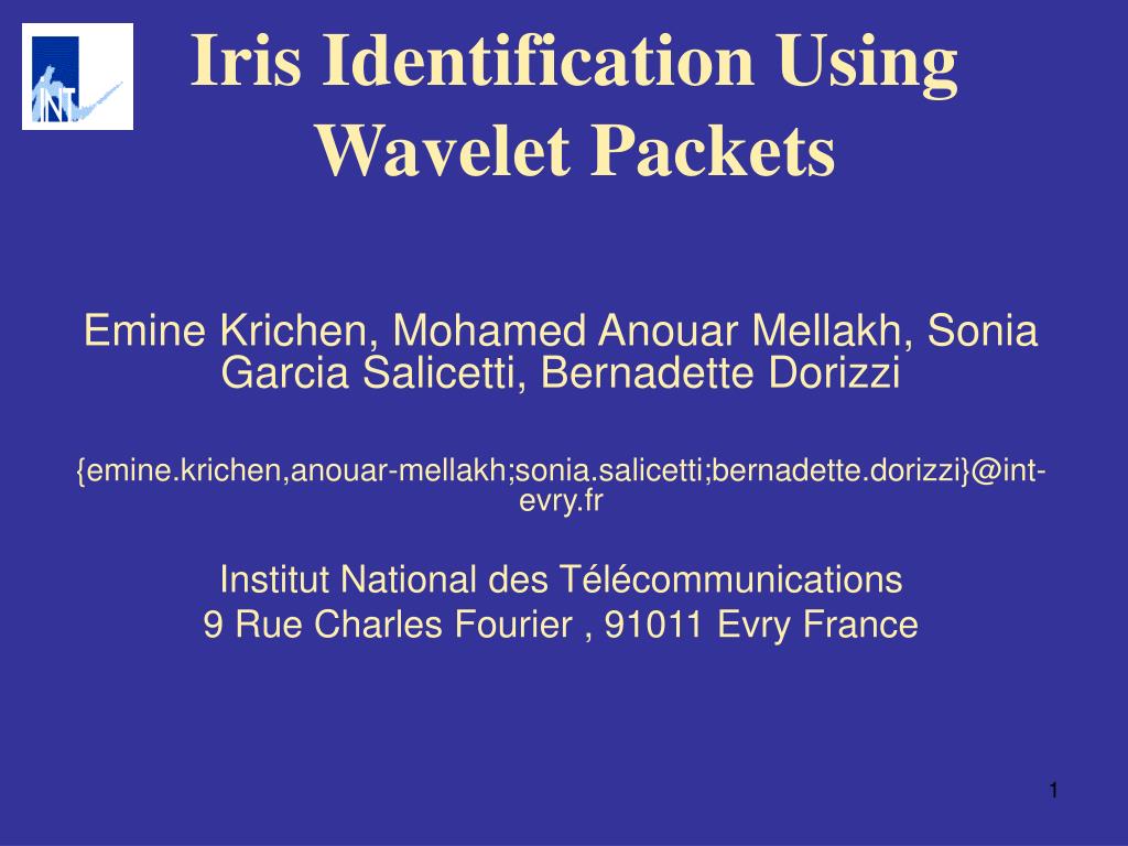PPT - Enhanced Iris Recognition Using Wavelet Packets: Comparative Study and Color Information ...