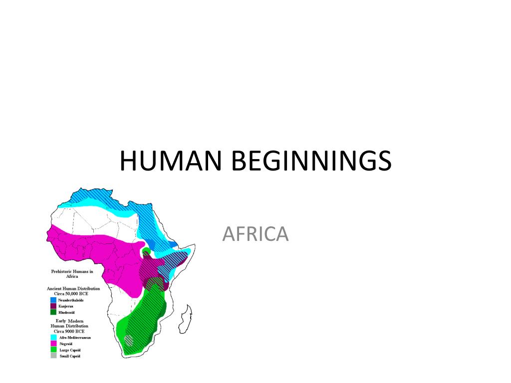 PPT - Human Origins in Africa: The Journey of Hominids and Homo Sapiens ...
