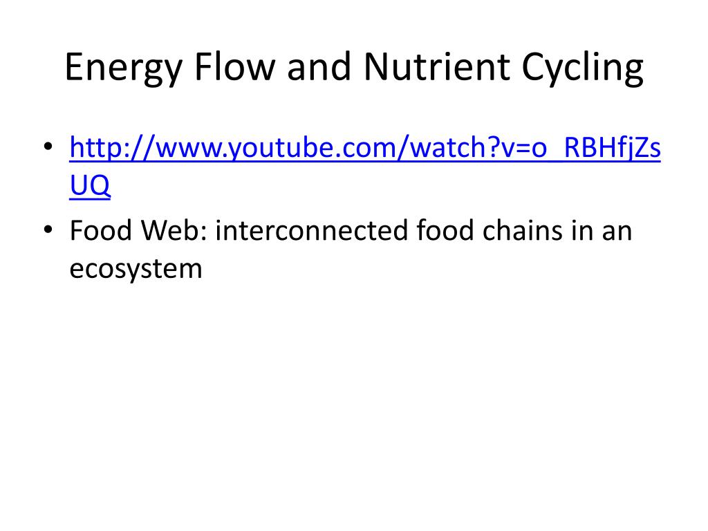PPT - Energy Flow and Nutrient Cycling PowerPoint Presentation, free ...