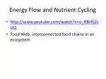 PPT - Ecosystems: Components, Energy Flow, and Matter Cycling ...