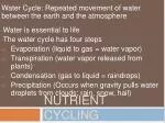 PPT - Cycling PowerPoint Presentation, free download - ID:1775794