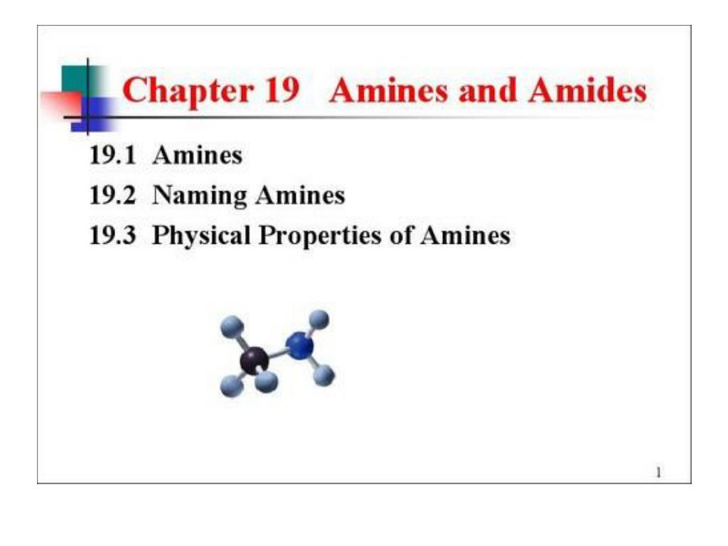 PPT - Amines PowerPoint Presentation, free download - ID:149487