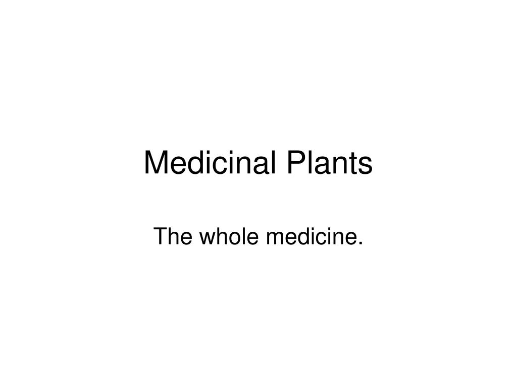 PPT - Medicinal Plants PowerPoint Presentation, free download - ID:149852