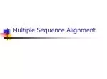 PPT - Multiple Sequence Alignment (MSA) PowerPoint Presentation, free ...
