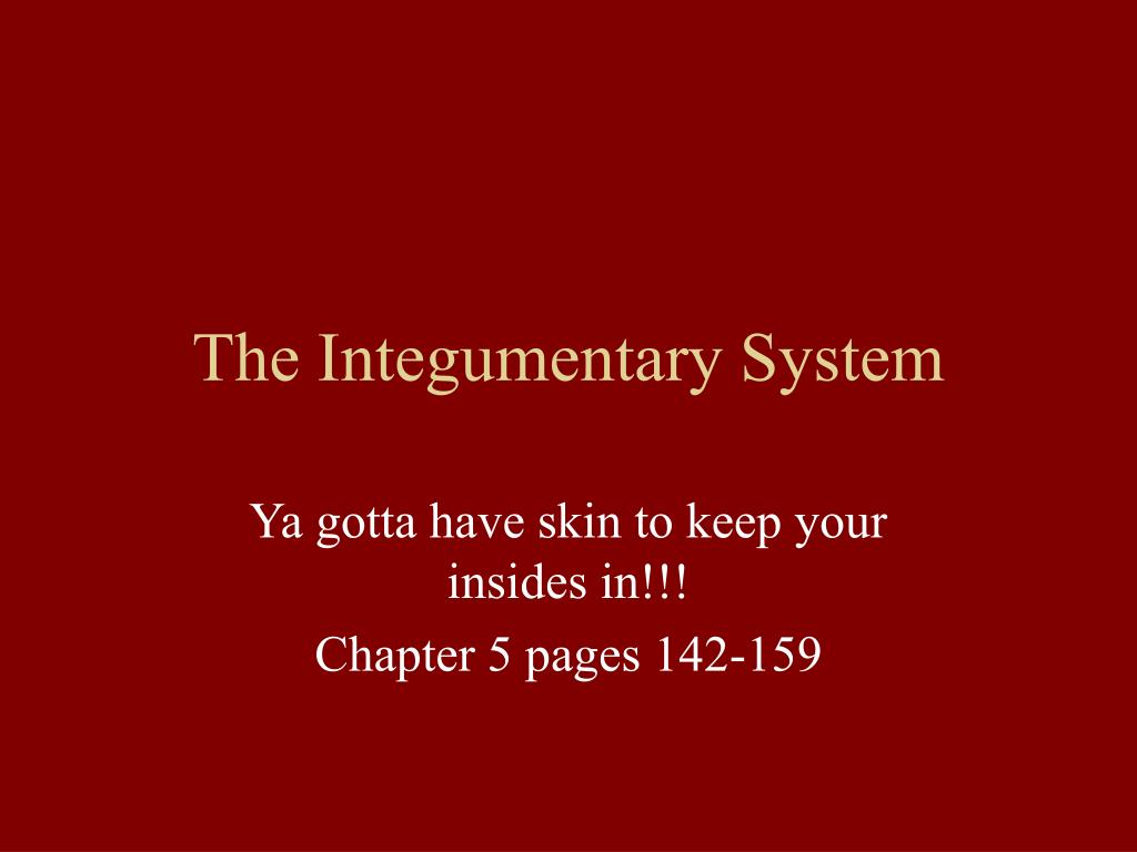 PPT - The Integumentary System PowerPoint Presentation, free download ...