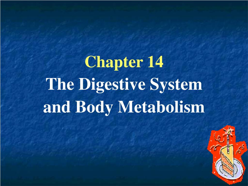 PPT - Chapter 14 The Digestive System and Body Metabolism PowerPoint ...