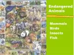 PPT - Endangered Animals PowerPoint Presentation, free download - ID:206986