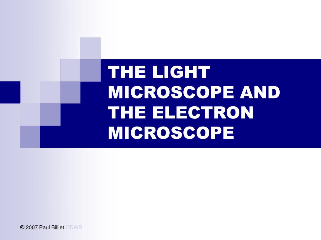 PPT - THE LIGHT MICROSCOPE AND THE ELECTRON MICROSCOPE PowerPoint ...