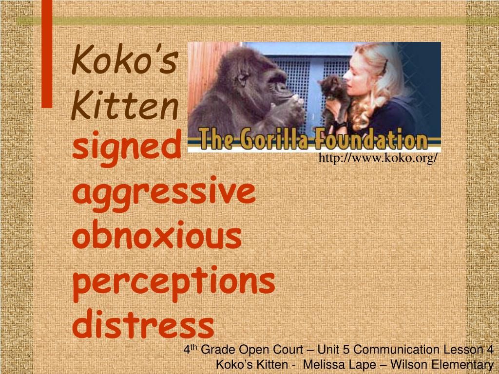 PPT - Koko’s Kitten PowerPoint Presentation, free download - ID:154586