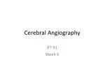 PPT - CT ANGIOGRAPHY PowerPoint Presentation, free download - ID:443533