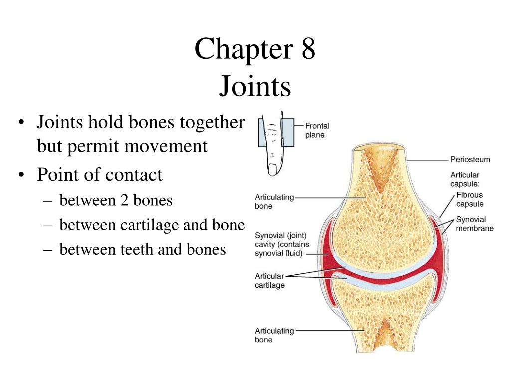 PPT - Chapter 8 Joints PowerPoint Presentation, free download - ID:155606