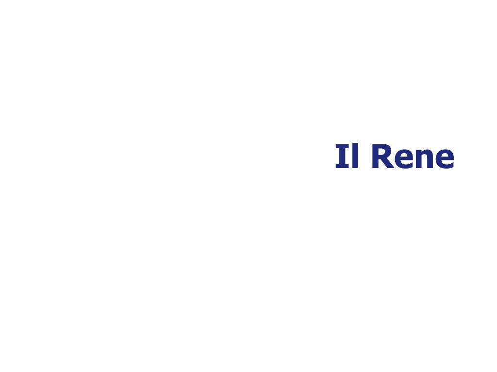 PPT - Il Rene PowerPoint Presentation, free download - ID:155627