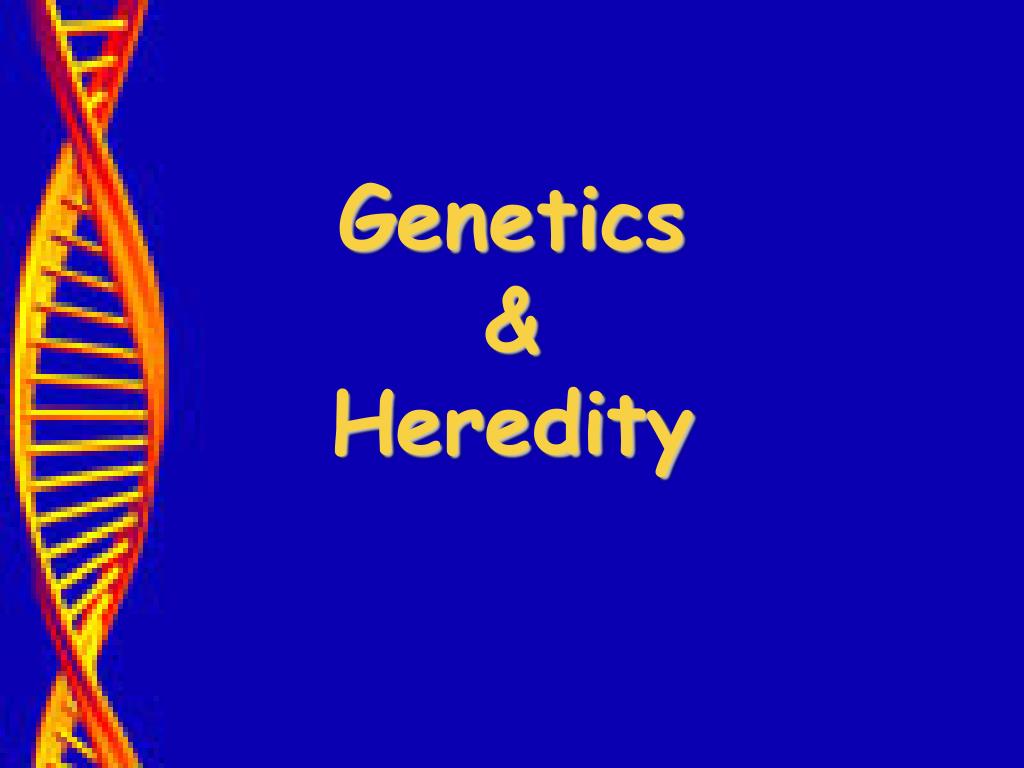 PPT - Genetics & Heredity PowerPoint Presentation, free download - ID:15641