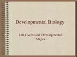 PPT - Developmental Biology PowerPoint Presentation, free download - ID ...