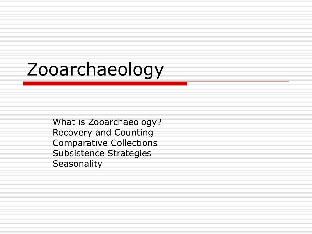 PPT - Zooarchaeology PowerPoint Presentation, free download - ID:158774