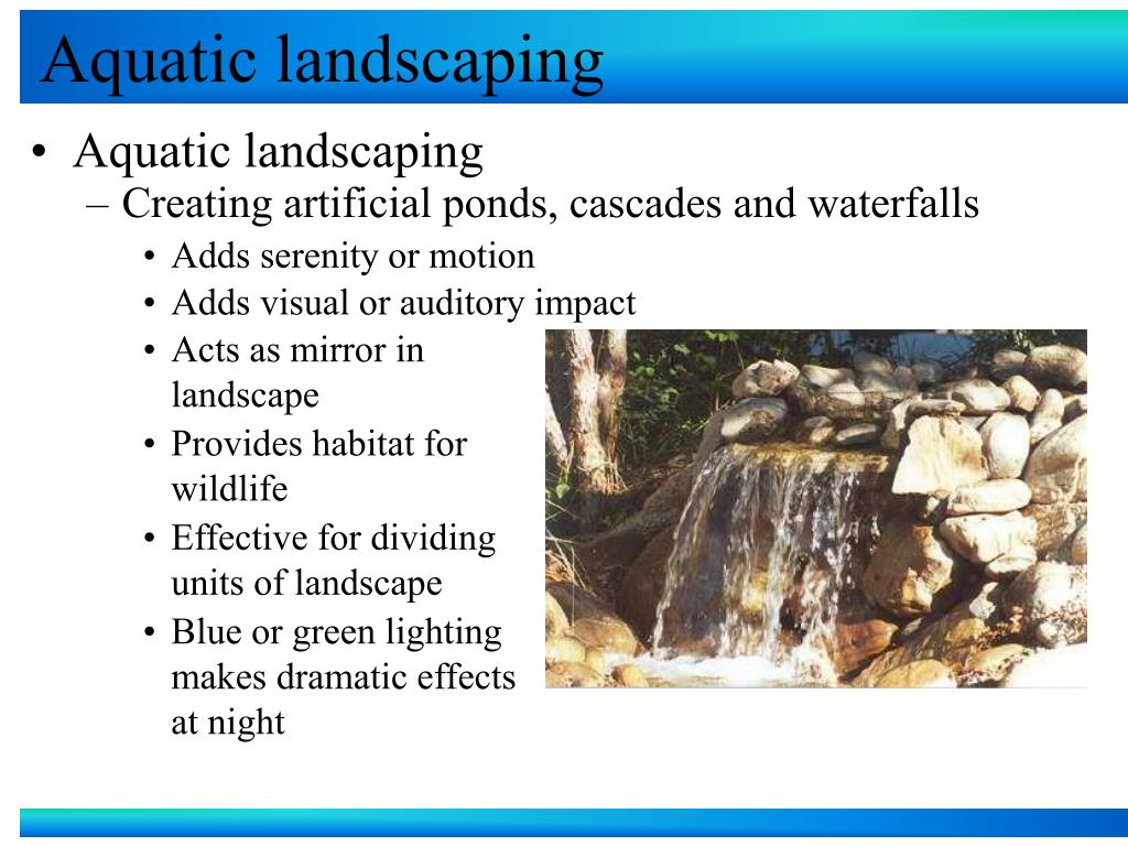 PPT - Aquatic landscaping PowerPoint Presentation, free download - ID ...
